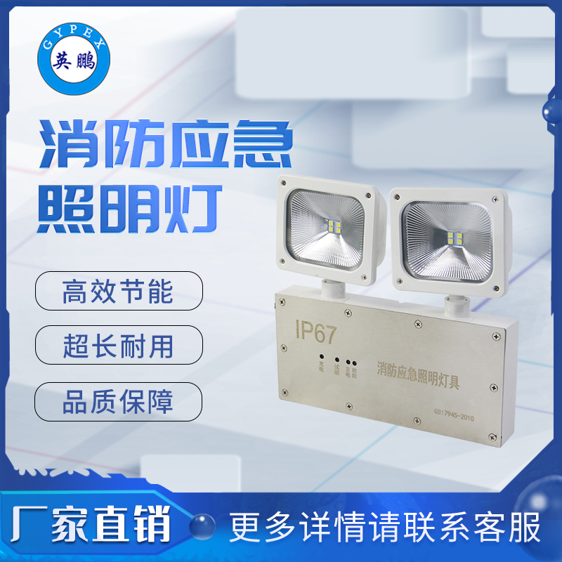 RF-ZFZD-E8W-QVZD双头应急灯IP67 - 广州安菲环保科技有限公司